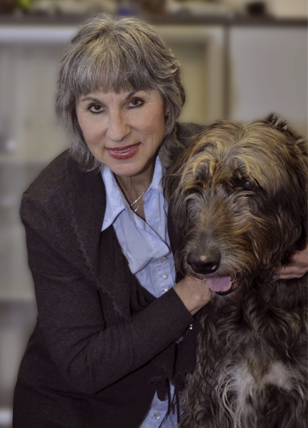 Immobilien Pfister: Makeln mit Leidenschaft - Regio Manager