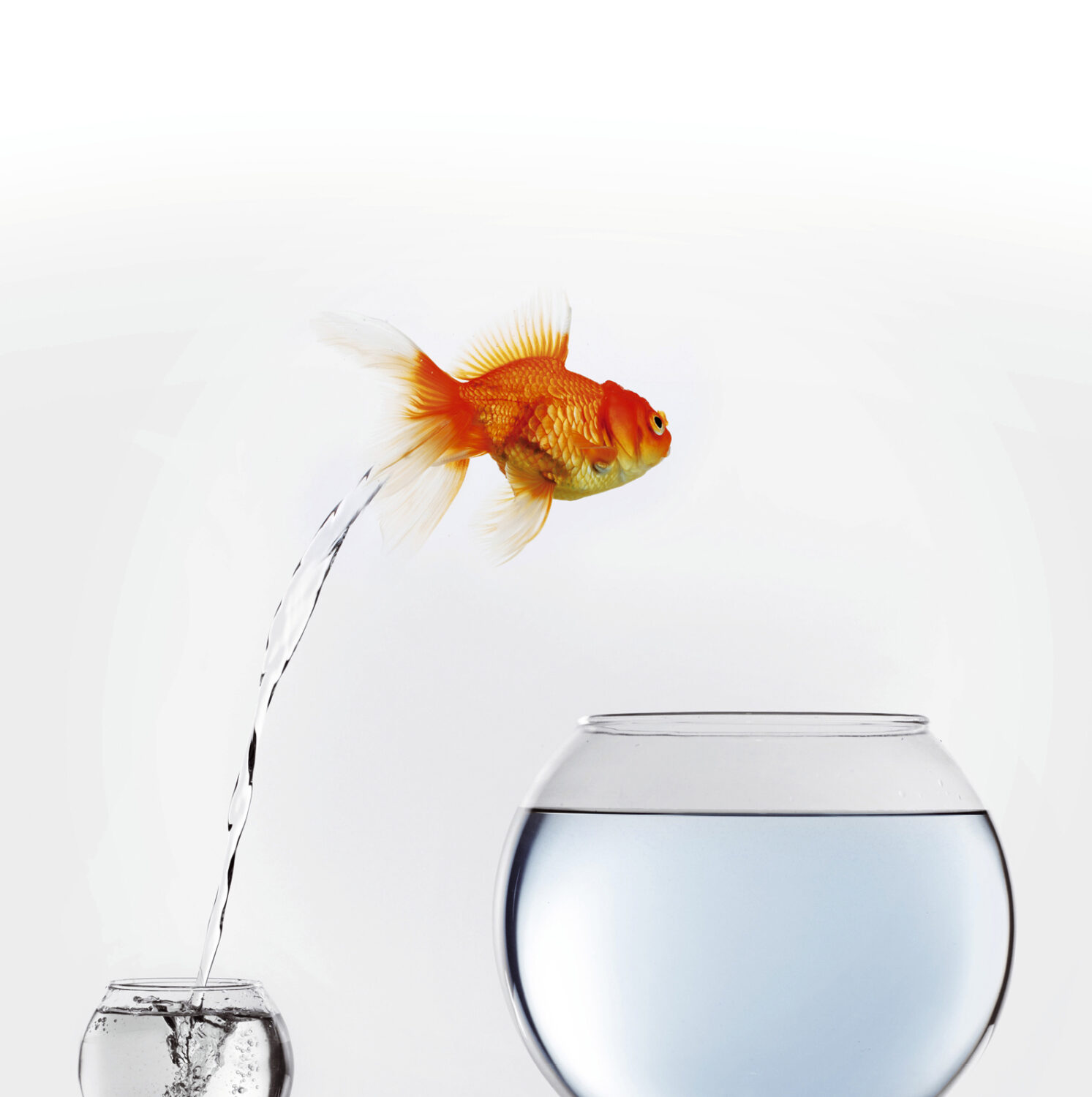 ENGEL CONSULTING: Fit für die Zukunft: Strategie & Organisation 4.0 ...